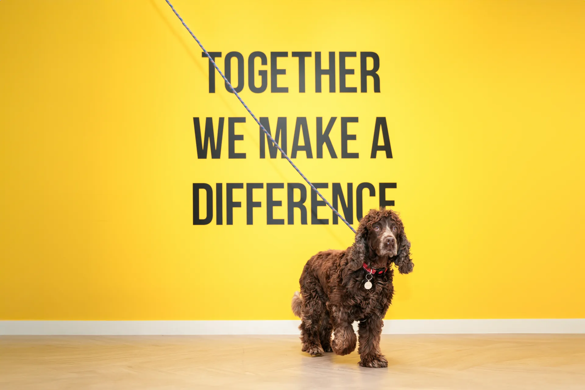 The Difference Makers | Four Agency
